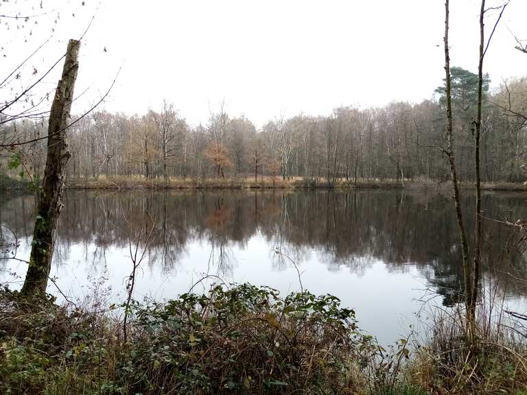 NSG Raakmoor, Hummelsee, Hummelsbüttler Moore, Raakmoorgraben | hike ...