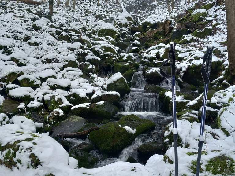 230125 Wällertour 06/23 | Greifenstein-Schleife (II) von Holzhausen bis ...
