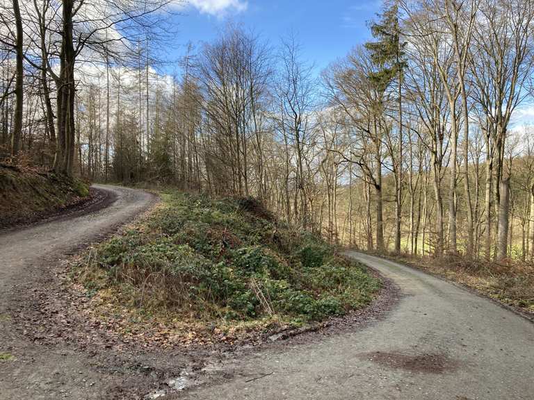 Alsdorfer-Runde (Idstein - Bermbach - Esch - Morcher Mühle - Alsdorfer ...