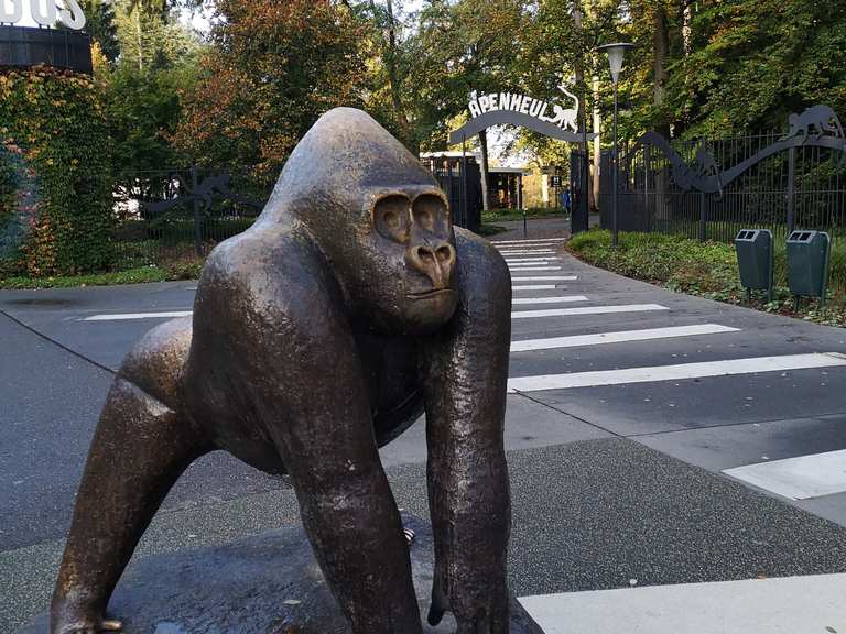 Apenheul Apeldoorn | Wanderung | Komoot