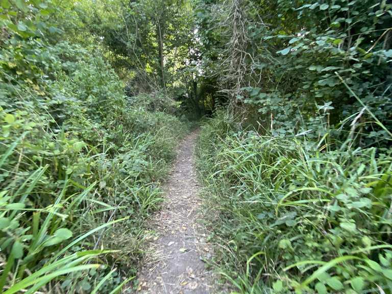 Omaha Beach, Forest and Memorial WN62 Loop | Wanderung | Komoot