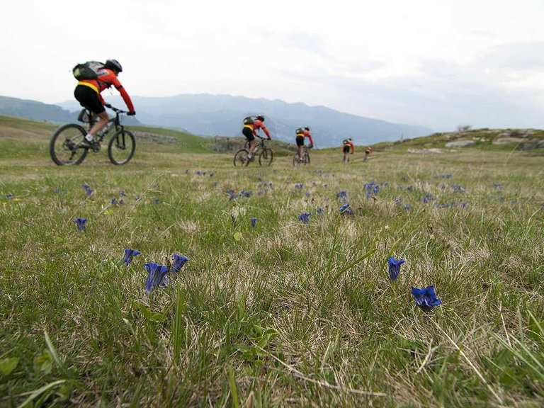 Nel parco naturale dei Lessini | Mountainbike-Tour | Komoot