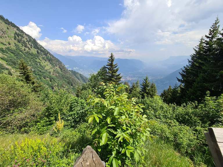 Rundtour über Mutkopf, Mutspitze, über die Tauferscharte zur Leiteralm ...