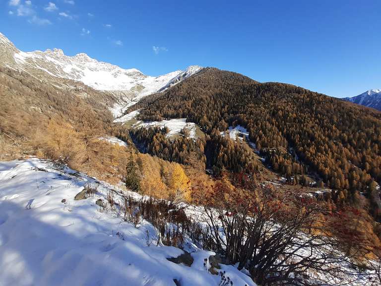 Le Mont Grand Pays en boucle (Val d'Aoste) - Entre neige et mélèzes ...