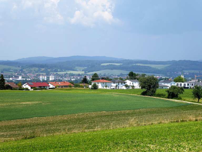 "Bermatinger Waldwiesen" Tour ab BH Bermatingen | Wanderung | Komoot