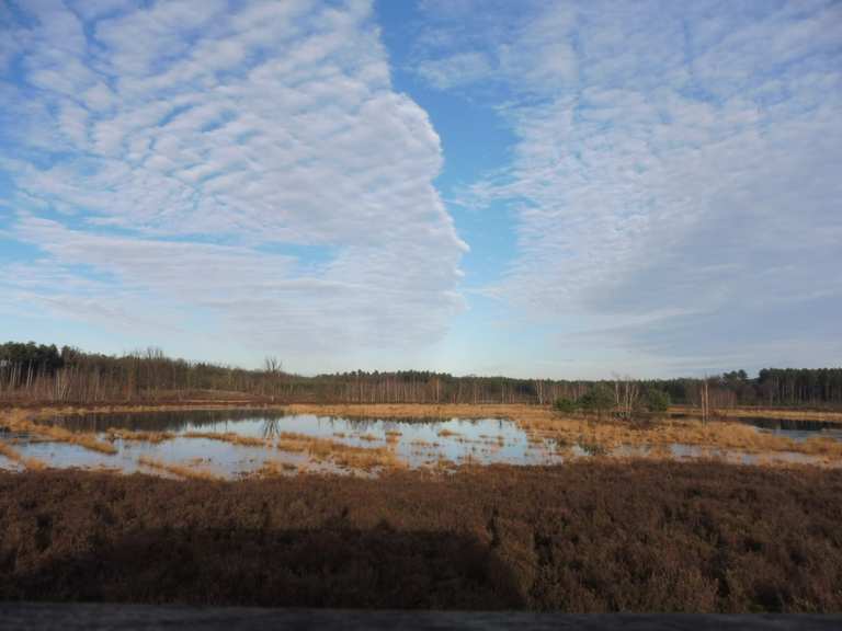Averbode: wandelen door bos en heide | escursione | komoot