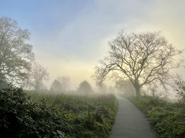 [ Meißen | Dresden ] Entlang der Elbe | von Radebeul nach Dresden ...