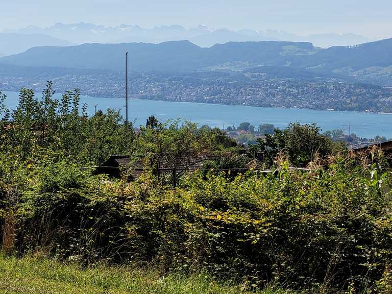 Runde an der Glatt entlang nach Zürichberg, Zoo, Rigiblick ...