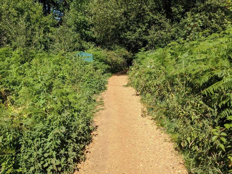 Castleman Trailway to Moors Valley | mountain bike ride | Komoot