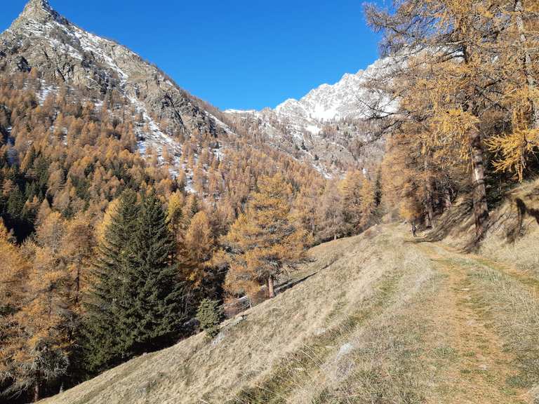 Le Mont Grand Pays en boucle (Val d'Aoste) - Entre neige et mélèzes ...
