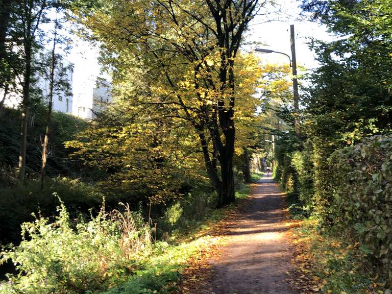 DAS ist ein GRÜNER RING - nochmal andersrum - Stadtpark, Niendorfer Gehege, Kollau, Esinger und ...